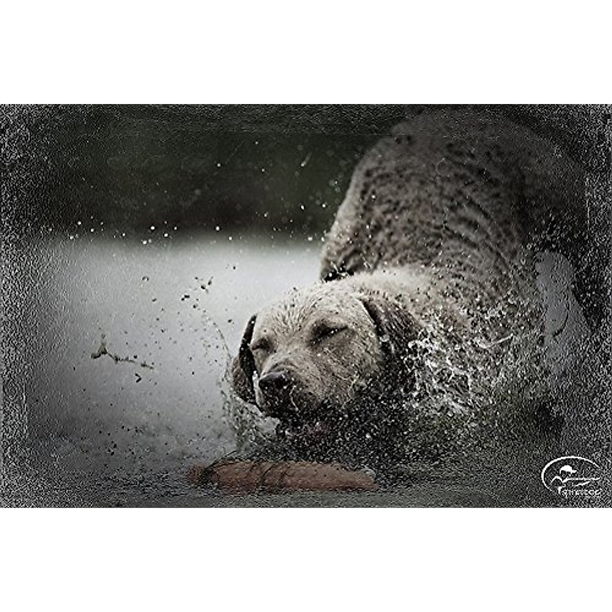 SportDOG Brand Plastic Dummies