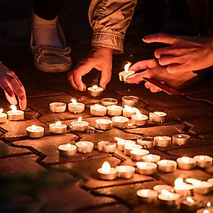 Tea Lights Candles - 12 Pack Green Tealights Candle Scented Green Tea Small Candle for Home, Holiday, Wedding & Party,Dinner Table, Halloween Christmas and Holiday (Green Tea)