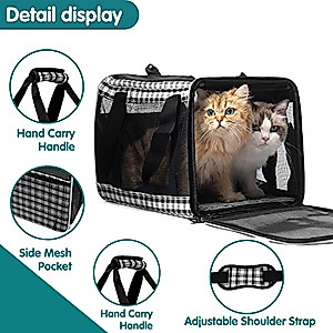 EXPAWLORER Large Cat Carrier for 2 Cats, Soft-Sided Pet Carrier for Cat,Top Load Cat Carriers for Medium Cats Under 25,Airline Approved Pet Travel Bag Fit 2 Kitties Small Dogs