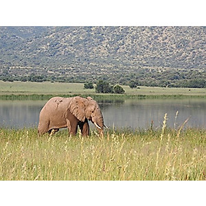 Nikon Coolpix P900 Super Zoom Camera - New