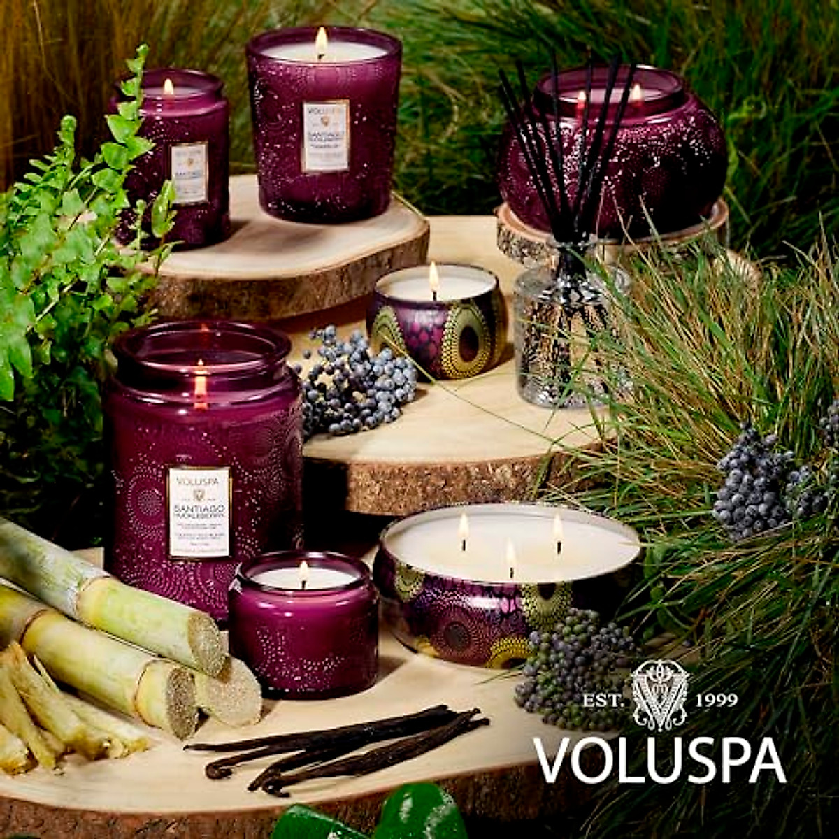Voluspa Santiago Huckleberry, Large Candle Jar, 18 oz, 100 Hour Burn Time, All Natural Wicks and Coconut Wax for Clean Burning, Vegan, Poured in the USA