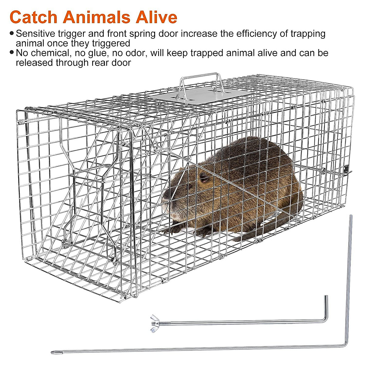 Moclever Live Animal Cage Trap Humane Cat Trap Cage Catch Release Live Animal Rodent Cage Collapsible Galvanized Wire for Rabbits, Stray Cat, Raccoon, Groundhogs, Mole,Gopher,Opossum-30.5X11.81X11 in