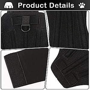 LAMPTOP Dog Back Brace for Dogs Arthritis, Pet Back Bracer for IVDD, Back Protector Helps Pain Relief, Surgical Recovery and Rehabilitation, Dogs Back Disease Prevention.