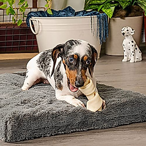 Pet Factory 100% Made in USA Beefhide 4" Knotted Bones Dog Chew Treats - Natural Flavor, 24 Count/1 Pack