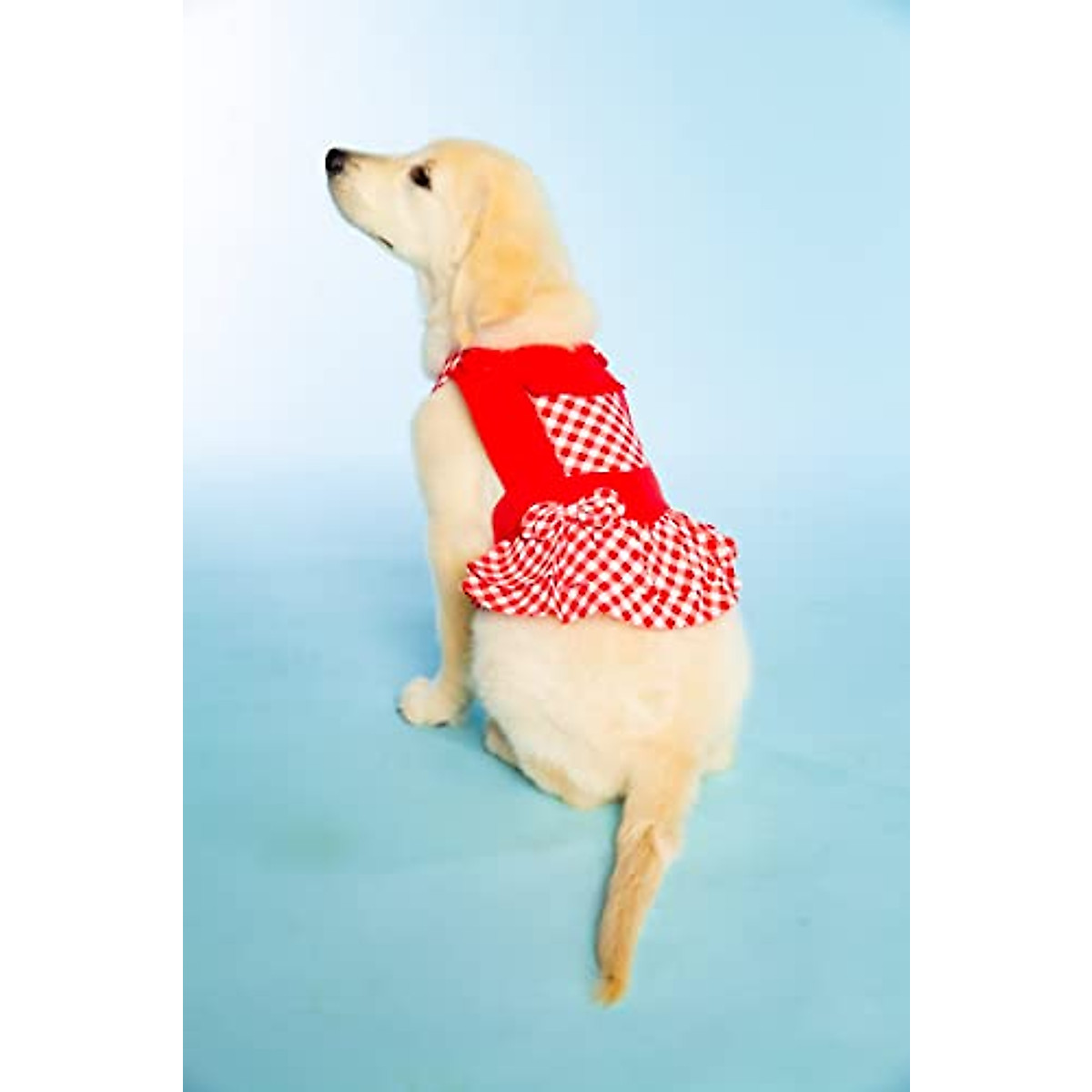 Doggy Parton Red Gingham Overalls Dress for Pets, Small (22120769)