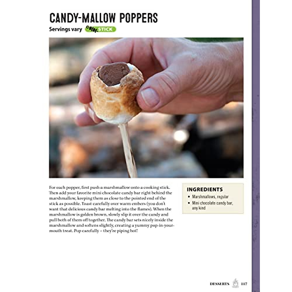 The New Campfire Cookbook: Pie Iron Sandwiches and Kebabs Plus Easy to Make Sauces, Dips, and Spreads (Fox Chapel Publishing) Over 100 Recipes - Breakfast, Grilled Cheese, S'Mores, Seafood, and More