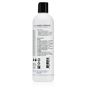 FRAGFRE 2 in 1 Shampoo and Conditioner 12 oz - Fragrance Free Conditioning Shampoo for Short to Medium Hairs - Color Safe Wash and Go - Sulfate Free Cleansing Conditioner for Sensitive Scalps (1 Pack)