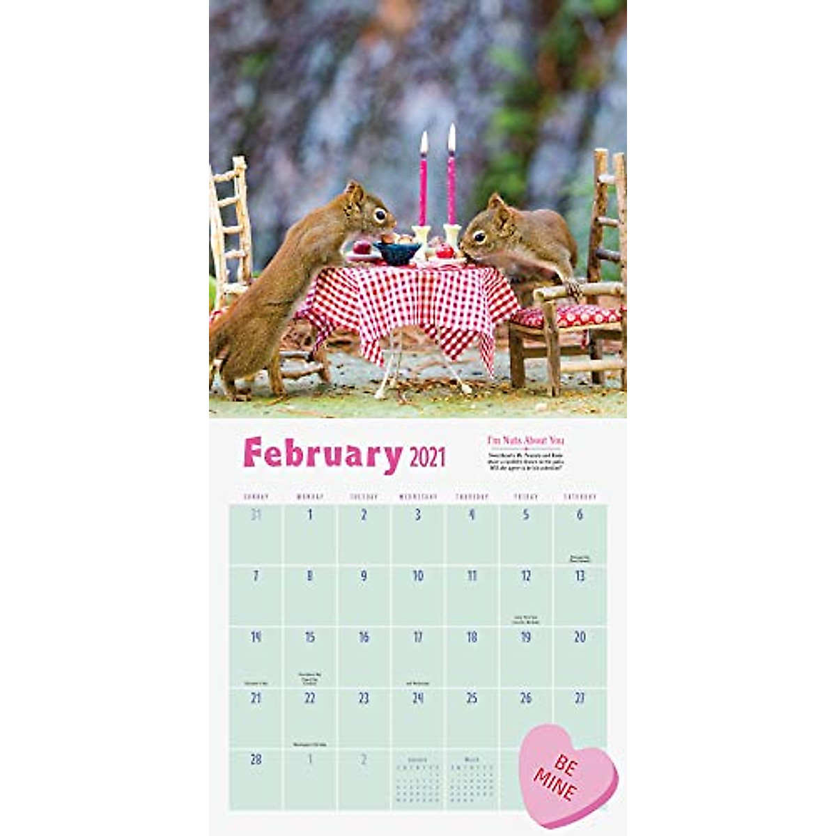 The Secret Life of Squirrels Wall Calendar 2021