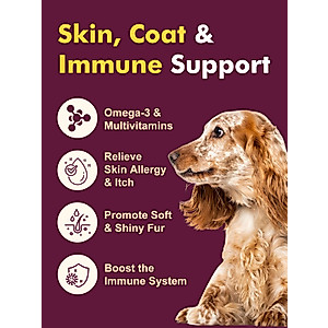 Probiotics for Dogs, Dog Probiotics for Digestive Health - Fiber Riched Prebiotic & Digestive Enzymes with Pumpkin, Omega-3, 6 Billion CFUs Support Gut & Immune Health, Diarrhea, Dog Allergy Relief