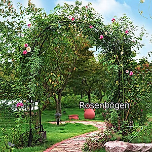 Garden Arch Heavy Duty Metal Rose Arch Arbor Archway Arches Trellis Frame for Wedding Black Wedding Arch 1.2m 1.5m 1.8m 2.8m (Size : W2.1xH2.4m) (Rose W3xH2.4m)