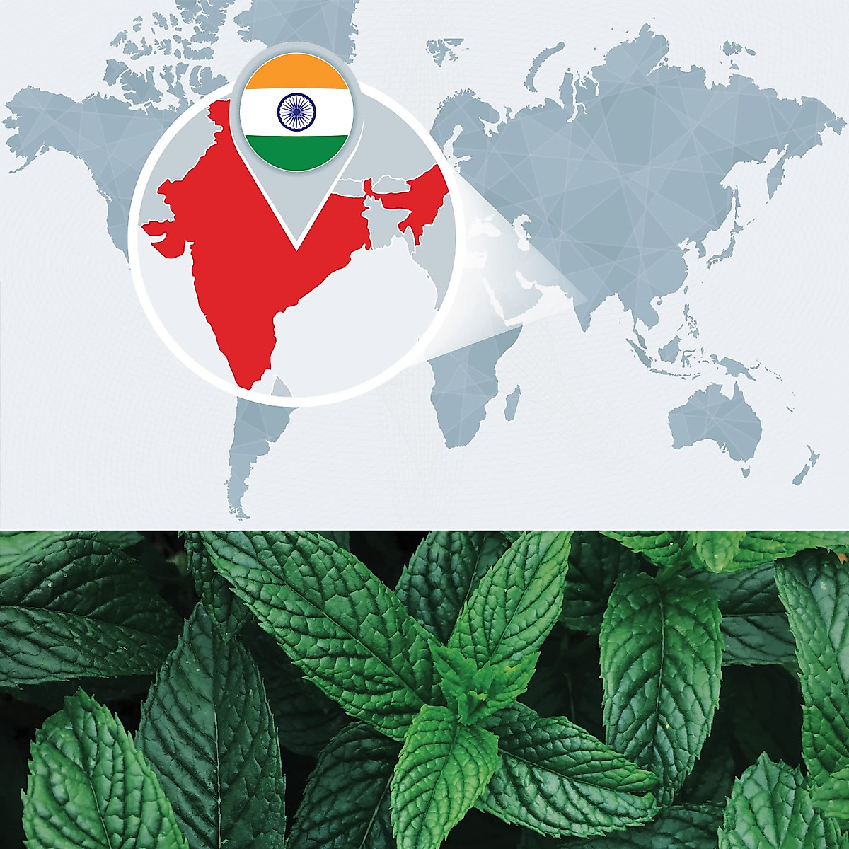 DIYBeauty Bulk Peppermint Essential Oil - Large Size 32 fl oz Bottle - 100% Pure and Undiluted Therapeutic Grade Mentha Piperita - Concentrated Extract