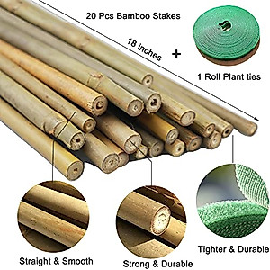 Yowlieu 20 Pcs Natural Bamboo Stakes + 1 Roll Garden Ties, 18 Inches Bamboo Sticks Gardening Plant Support Stakes for Indoor Plants, Tomato, Potted Plants