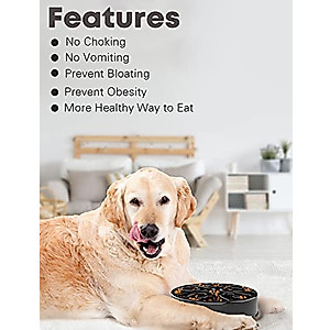 Freefa Slow Feeder Dog Bowls, (2 Cup) Dog Slow Feeder Bowl, Puzzle Dog Food Bowl, Maze Dog Food Bowl, Slow Feeder Dog Bowls Large Breed, Medium Breed, Small Breed, Slow Eating Bowl, Puppy Bowl