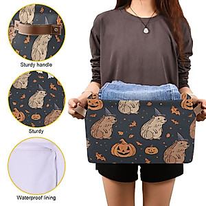 Large Storage Basket Halloween Capybara Foldable Storage Box Organizer Bins with Handles for Bedroom Home Office