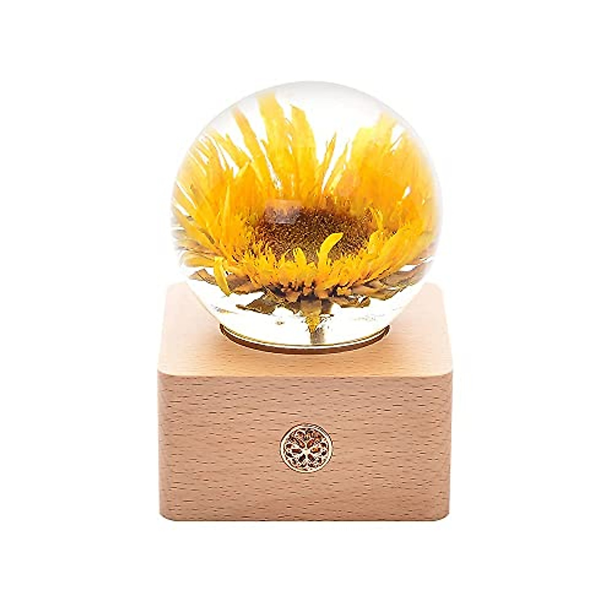 MISS LI GARDEN Night Light Dimmable Warm Light, Touch Sensitive Lamp for Home Bedrooms Dining Room Kitchen Living Room Bedside Farmhouse Country Style House Decoration(1.Sunflower)