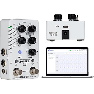 MOOER Looper X2 Stereo Electric Guitar Loop Pedal, Bass Guitar Looper Pedal, Acoustic Guitar Looper Pedal with 11 Banks, 300 Minutes, 77 save slots, Fade Out Function for practice and live show