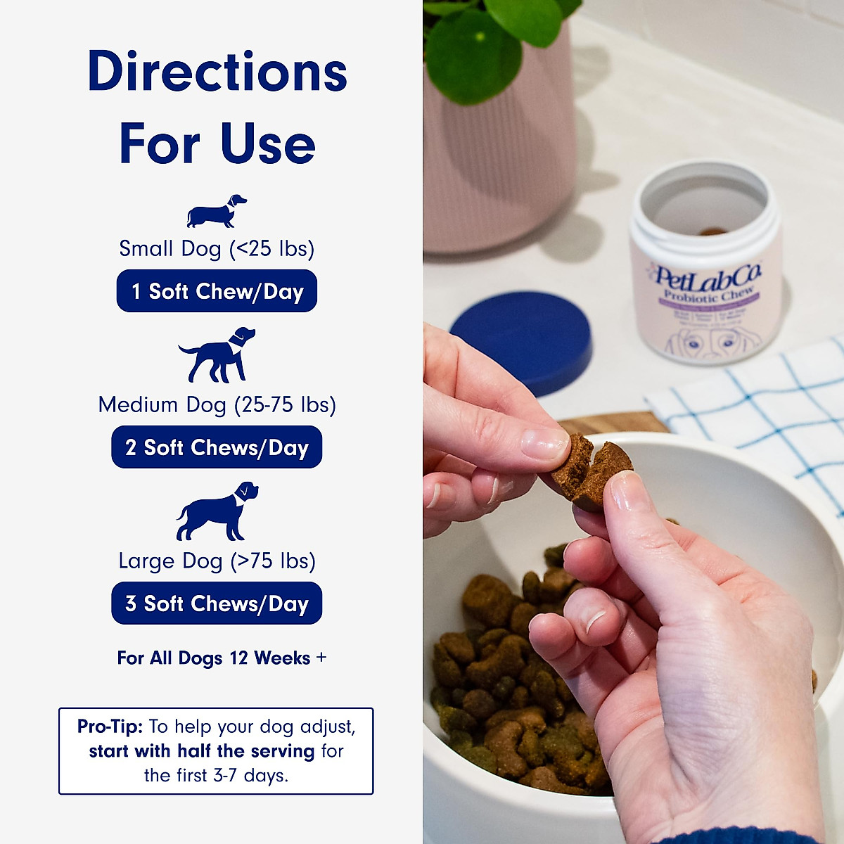 PetLab Co. Probiotics for Dogs, Support Gut Health, Occasional Diarrhea, Digestive Health & Seasonal Allergies - Salmon Flavor - 30 Soft Chews