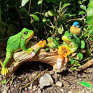 iRonrain Solar Garden Statues Frog, Outdoor Art Decor Figurine Waterproof Lights with Frogs Bird Mushroom & Flowers, Garden Sculpture Ornament for Spring Lawn Yard Thanksgiving Christmas (Frog)