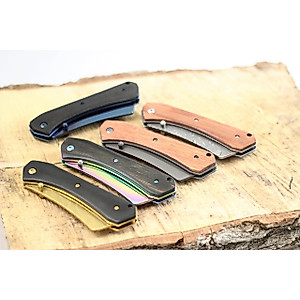 Wartech Buckshot Knives PBK222 Thumb Open Spring Assisted Tanto Cleaver Pocket Knives (PBK222BL)