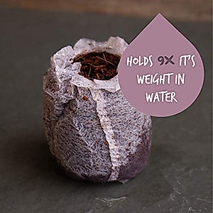 Pure Coconut Coir Netted Seed Starting Pellets - 42mm - Pack of 50 - Sustainable, Renewable, Unamended - Superior to Peat Plugs - High Water Holding - Minimize Root Loss & Transplant Shock