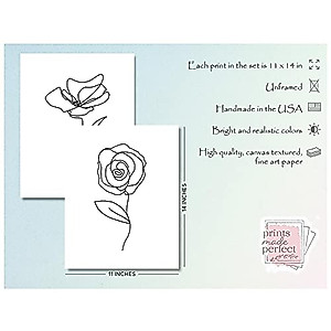 Black and White Wall Art - Flower Line Drawings - Botanical Prints - Abstract Pictures - Set of 4-11x14 - Unframed (11x14)