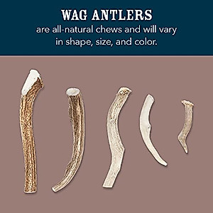Amazon Brand - Wag Dog Deer Antler Chew, Naturally Shed, Whole, Large 8-9.5 inches (Best for Dogs 30-45 lbs)