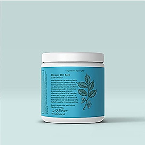 United Naturals Official Nature MD Gut Connect 365 9.9oz Chocolate Coconut