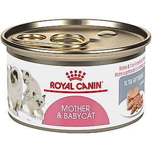 Royal Canin Mother & Babycat Ultra-Soft Mousse in Sauce Variety Pack Wet Cat Food, 3 oz., Count of 6, 6 CT