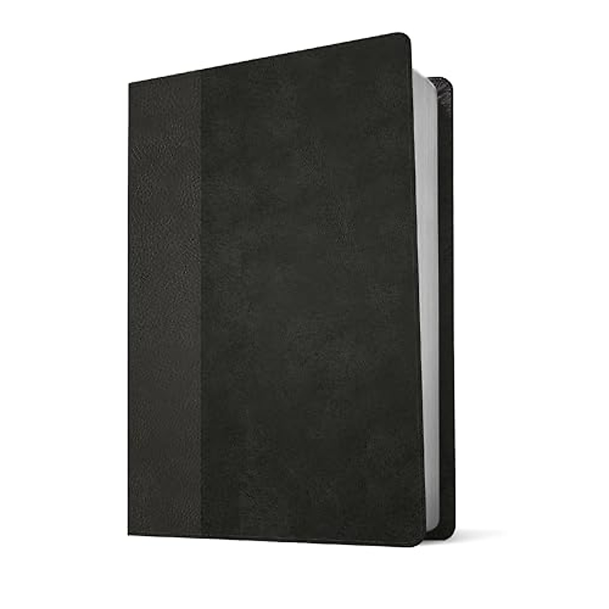 NLT Personal Size Giant Print Bible, Filament Enabled (LeatherLike, Black/Onyx, Red Letter): Includes Free Access to the Filament Bible App Delivering ... Notes, Devotionals, Worship Music, and Video