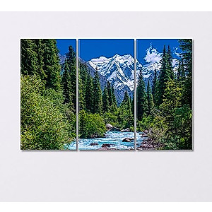 Spruce Forest near a Stormy River and Snowy Mountains Kyrgyzstan Canvas Print 3 Panels / 36x24 inches