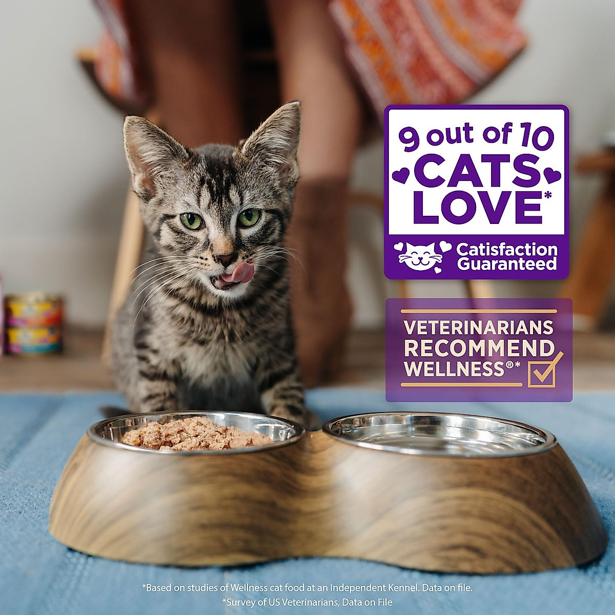 Wellness Complete Health Minced Grain Free Canned Cat Food, Chicken Dinner, 3 Ounces (Pack of 24)