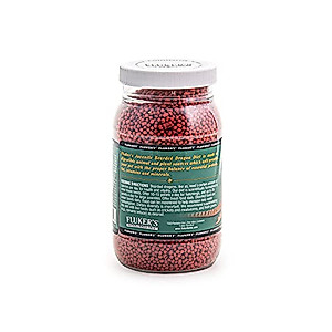 Fluker's 76031 Juvenile Bearded Dragon Diet Food, 5oz
