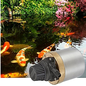 Little Giant S580PT-20 115 Volt, 740 GPH Oil-less Stainless Steel and Bronze Direct Drive Pump for Fresh or Salt Water Ponds or Fountains, Steel, 517100002
