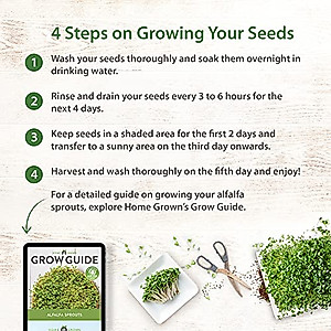 8oz Alfalfa Sprouting Seeds - Alfalfa Sprout Seeds for Indoor or Outdoor Planting - Non-GMO, USA Premium Alfalfa Seeds for Sprouting - Microgreen Seed Sprouts in Resealable Bag for Longer Freshness