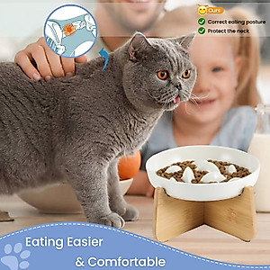 JuWow Elevated Ceramic Cat Slow Feeder Bowl, Anti Gulping Healthy Eating Diet Pet Food Bowl, Non-Slip Whale Shape Design and Raised Rim Spill Proof Slow Bowl for Kitten(Ceramic&White)