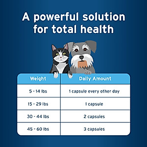 Pet Protect from The Makers of Advantage Omega 3 Supplement for Small Dogs & Cats | 60 Capsules