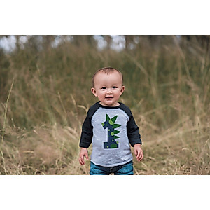 7 ate 9 Apparel Boy's One 1st 1 First Birthday Dinosaur Spike Dino Grey Raglan Tee 18 Months