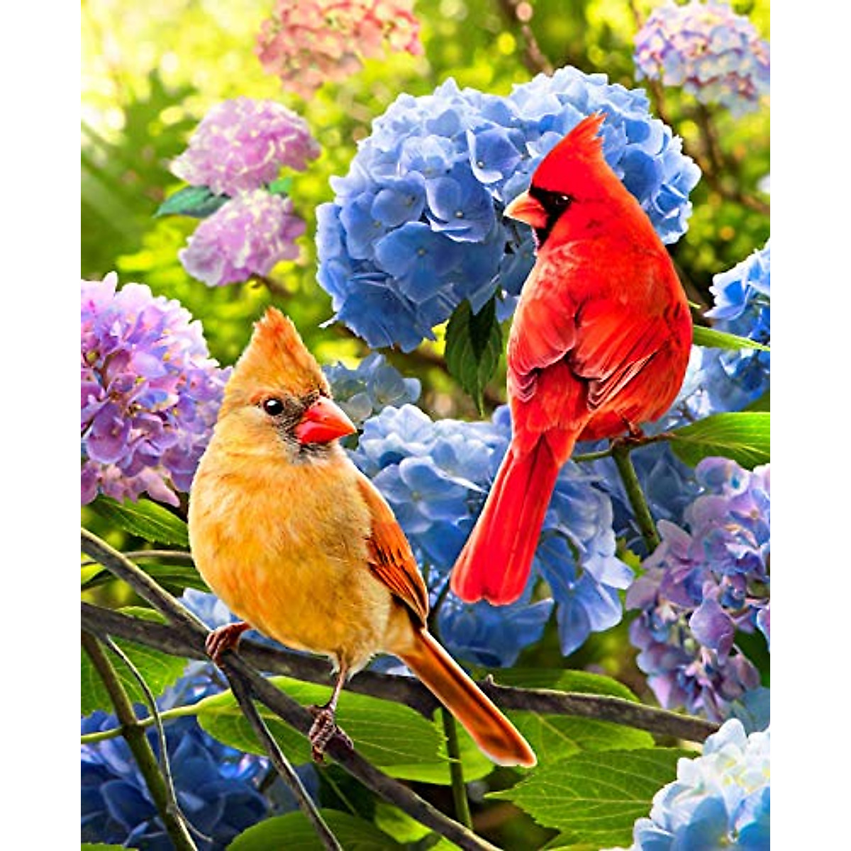 David Textiles Cardinals and Hydrangea Cotton Panel Fabric 36 X 44 Inches