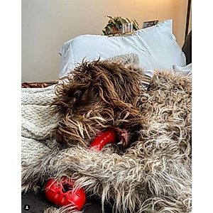 Jersey Dog Co. Chompi Bone Dog Toy, Chew Bone, Made in USA