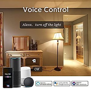 Energy Monitoring Dual Socket Smart Plugs That Work with Alexa Google Home Siri, Wireless 2.4G WiFi Outlet Controlled by Smart Life Tuya Smartthings, 10A Mini Socket Enchufe Inteligente with Timer