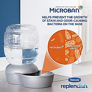 Petmate Mason Inspired Replendish Gravity Waterer, Water Dispenser for Dogs and Cats, 1 Gallon Silver