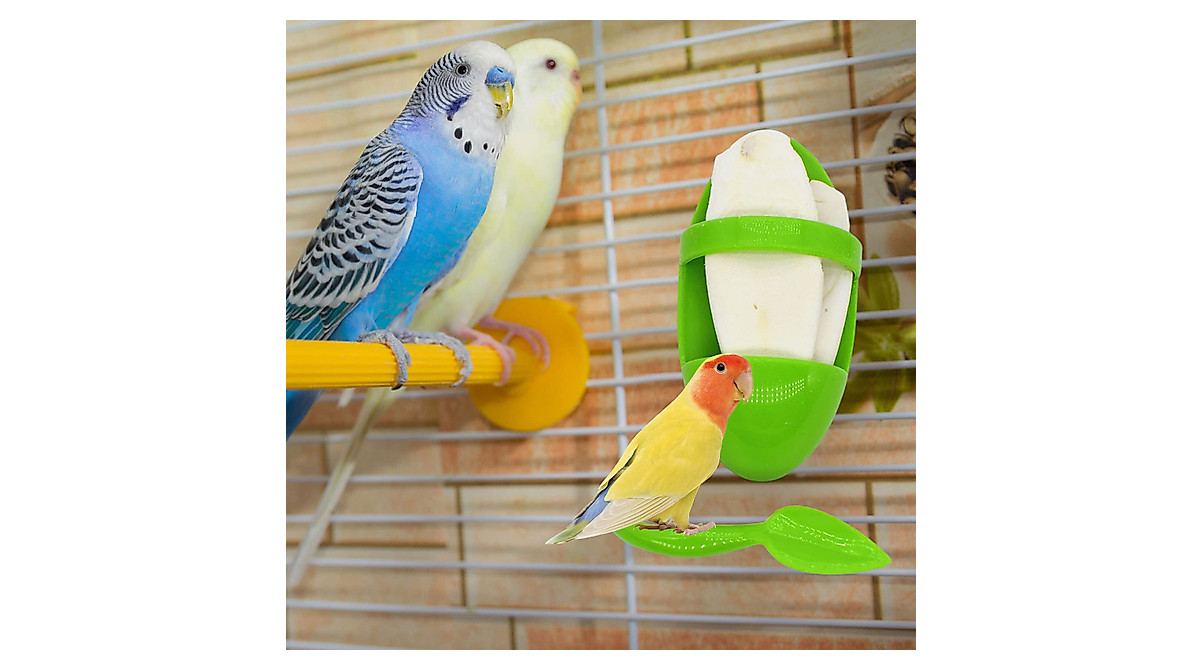 Cuttlebone Holder for Birds - Durable & Easy to Install