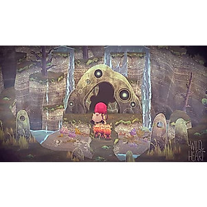 The Wild at Heart (Nintendo Switch)