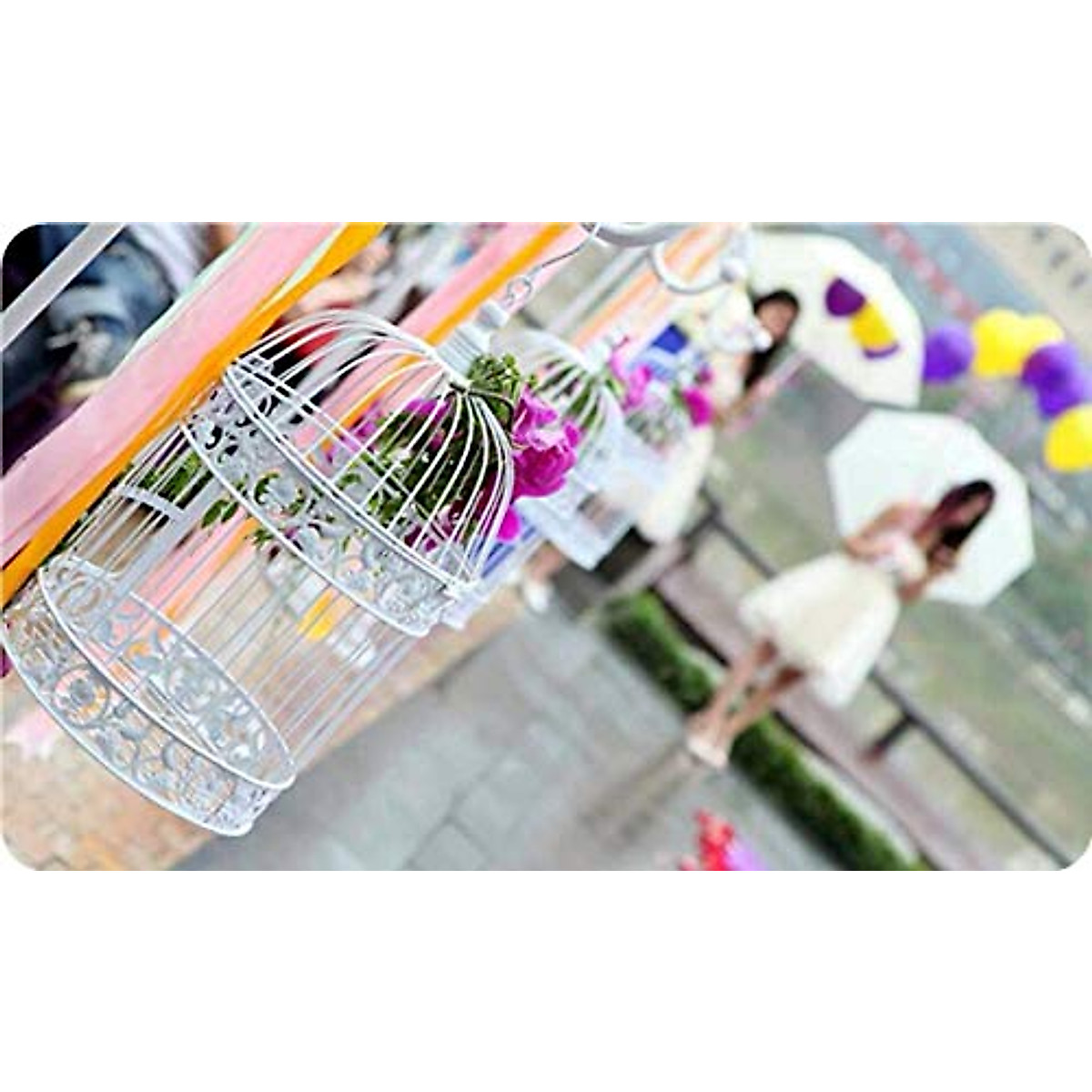 PET SHOW Round Birdcages Wedding Gift Cards Holder Metal Wall Hanging Bird Cage for Small Birds Party Indoor Ourdoor Decoration 10.6“ Black Pack of 1