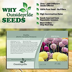 Outsidepride Dahlia Pompon Garden Cut Flower Seed Mix for Bouquets & Dried Floral Arrangements - 500 Seeds