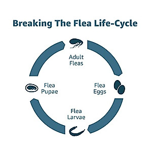 Amazon Basics Flea, Tick & Mosquito Topical Treatment for X-Large Dogs (over 55 pounds), 6 Count (Previously Solimo)