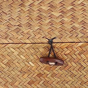 Topyond Wicker Storage Basket with Lid, Handwoven Seagrass Rattan Storage Basket, Durable Stylish Woven Box for Toys, Groceries, and Picnic Essentials, Natural Brown