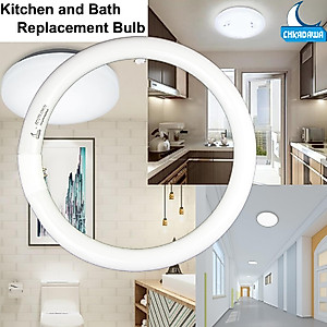 CHKADAWA FC12T9 32 Watts Circline Light Bulbs Daylight, Circular 12 Inch T9 32W Round Fluorescent Bulb Replacement for Circle Ceiling Fixture Lamp, DL 6500K Tube, G10q 4 Pin Base, 2 Pack