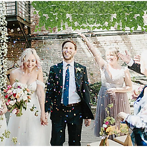 RQJLZ 12 Pack 85 Feet Fake Ivy Leaves Artificial Ivy Garland Greenery Garlands Hanging Plant Vine for Wedding Party Room Astethic Stuff Decor, Plants Hanging