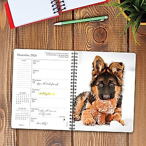 Willow Creek Press What Dogs Teach Us Softcover Weekly Planner 2024 Spiral-Bound Engagement Calendar (6.5" x 8.5")
